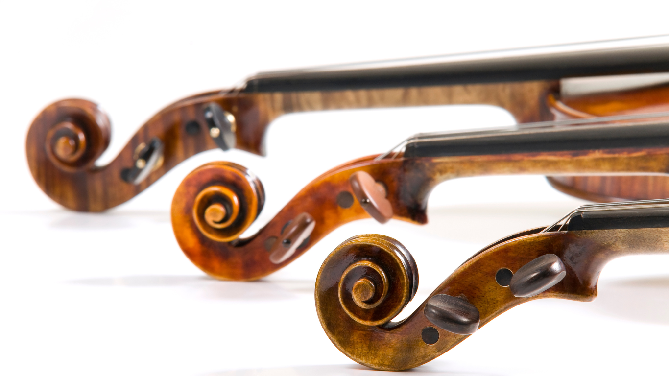 Orchestral String Instrument Rentals and Sales – cassandrastrings.com