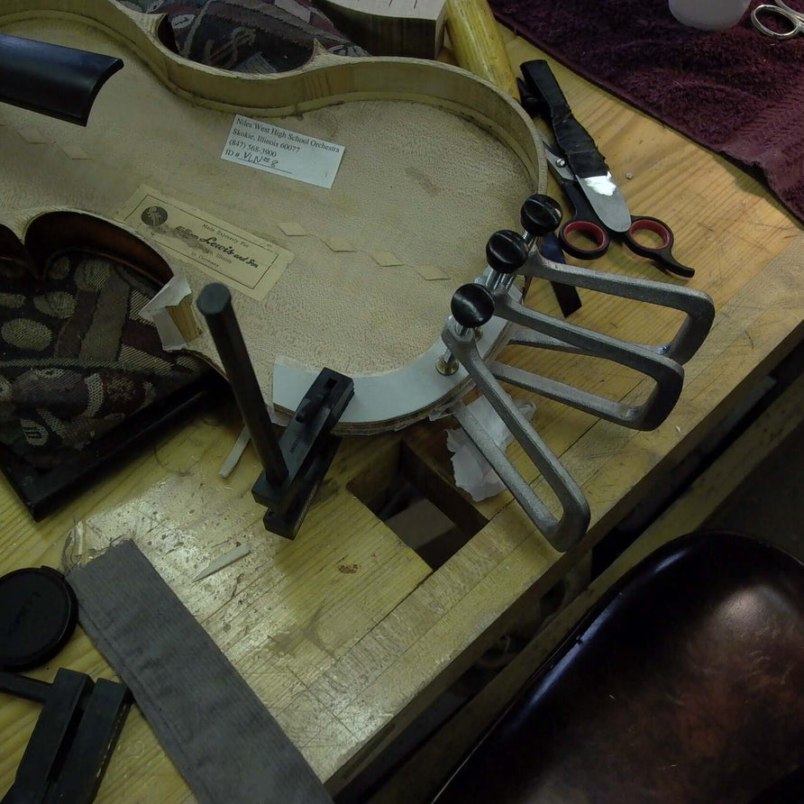 Orchestral String Instrument Rentals and Sales – cassandrastrings.com