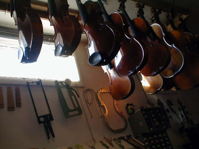 Orchestral String Instrument Rentals and Sales – cassandrastrings.com
